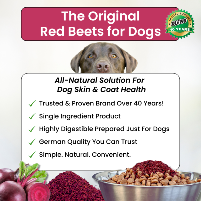 Natural Relief for Dog Allergies and Itching with Olewo Red Beets